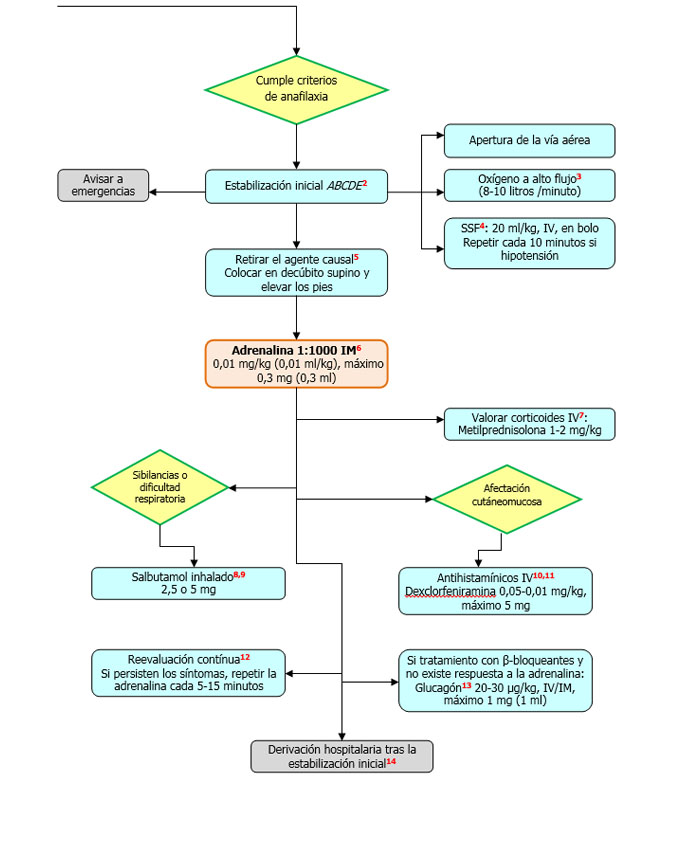 Guía-ABE - anafilaxia;-algoritmo-de-actuacion